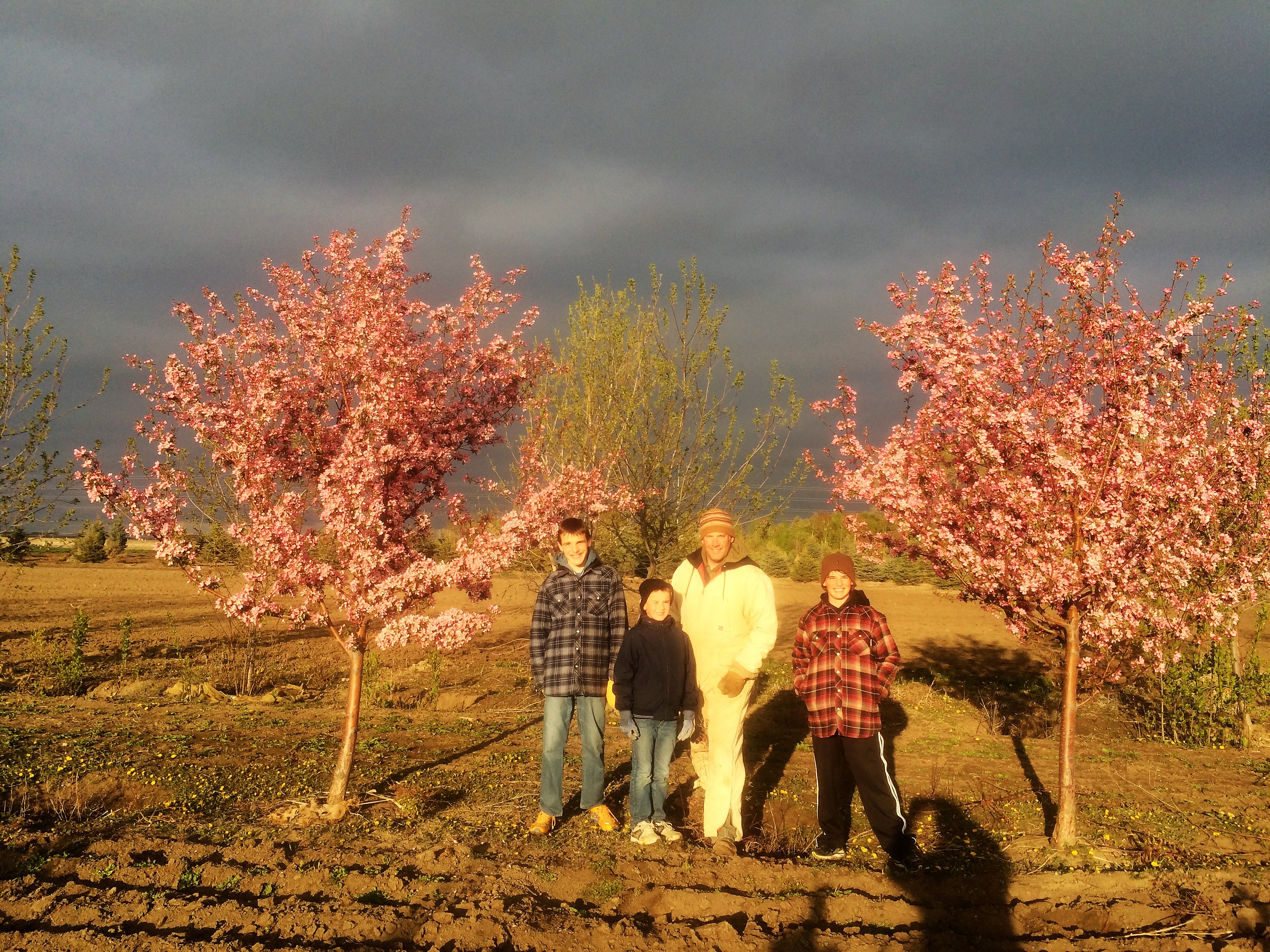 ABOUT US – EVER GREEN ACRES TREE FARM