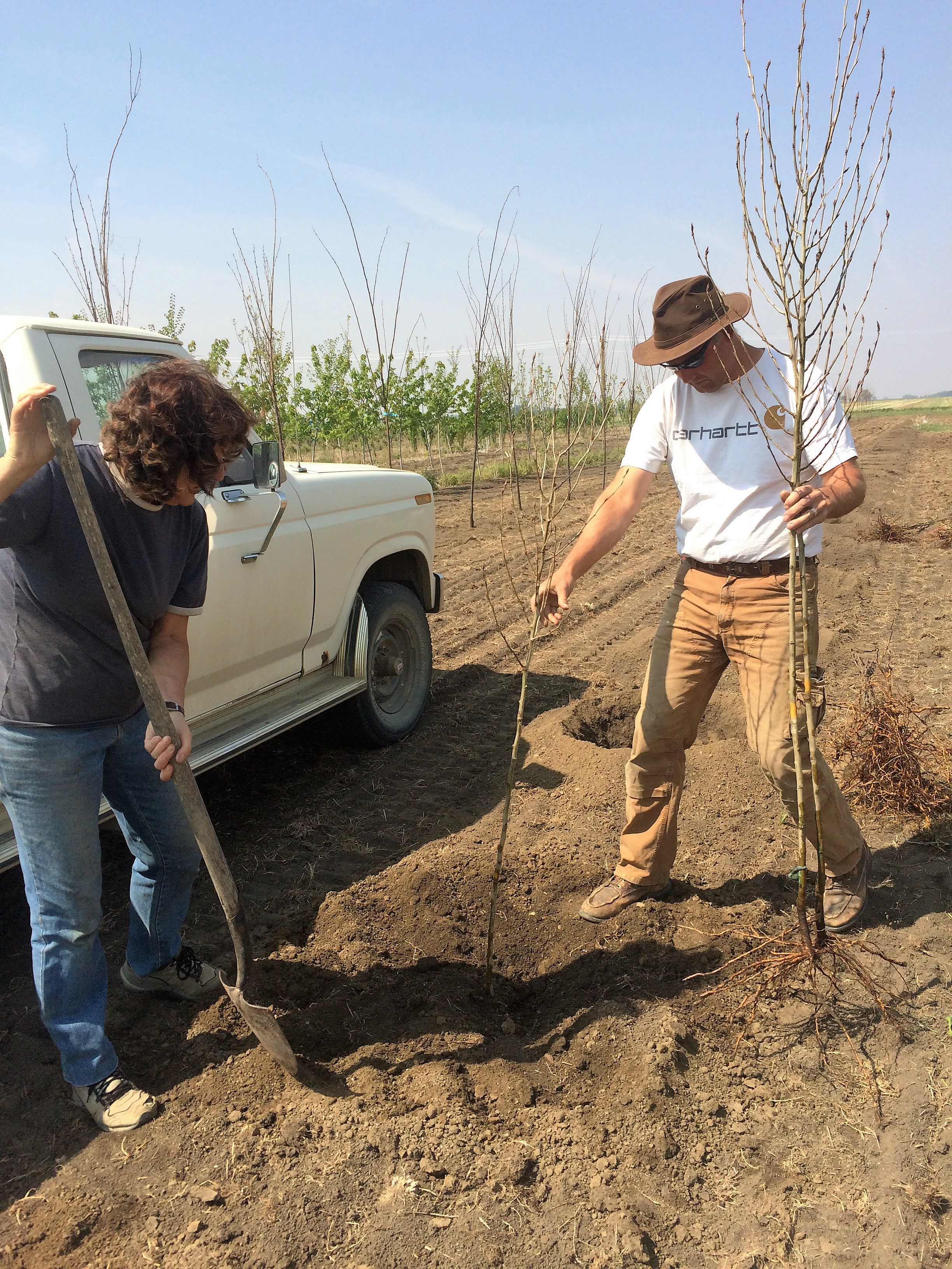ABOUT US – EVER GREEN ACRES TREE FARM
